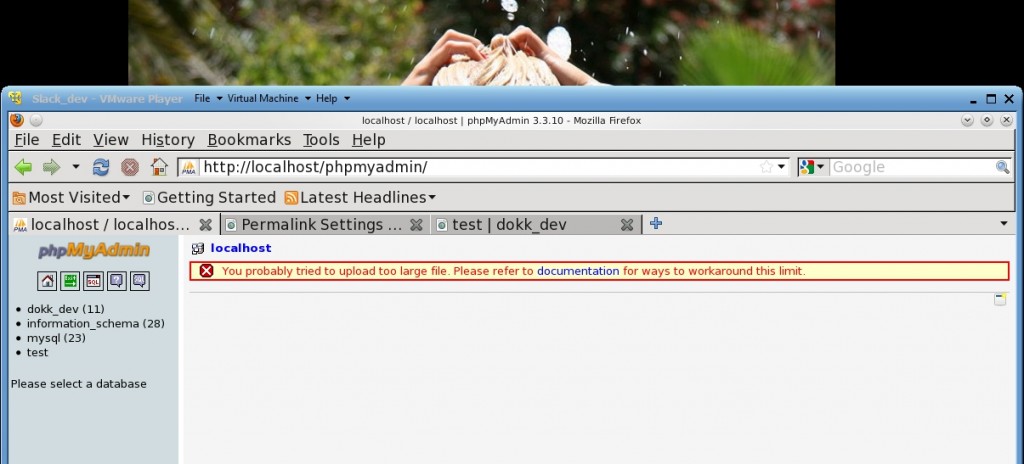 phpmyadmin_database_import_error | Dokk-aebi